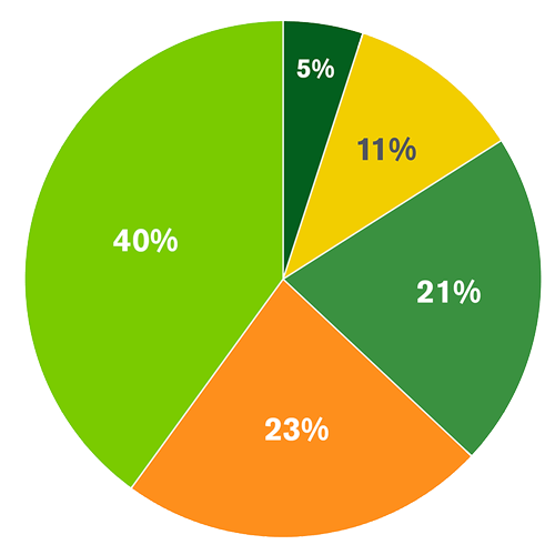 Credit Score Basics | How to Improve Credit Score | GreenState